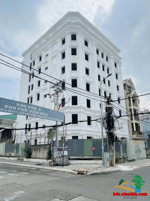 Cho Thuê Tòa Nhà Góc 2 mặt tiền đường DD1-DD1A Bạch Mã Phường 15 Quận ...